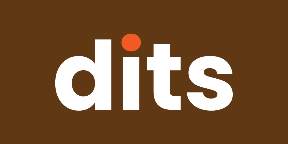 DITS Academy - The finishing school for networking professionals